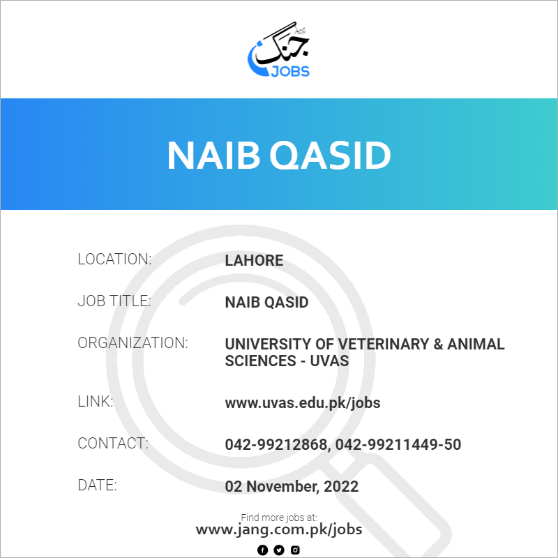 Naib Qasid Job – University Of Veterinary & Animal Sciences - Uvas ...