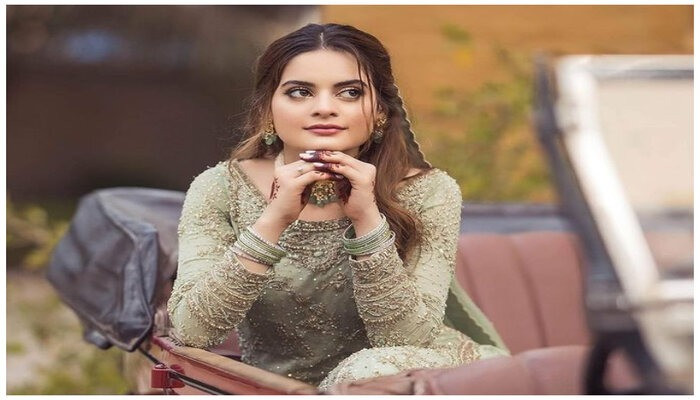 Minal Khan hospitalized for foot injury, leaves fans worried