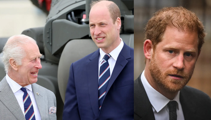 King Charles, Prince William smack Prince Harry with ‘bitter kick in teeth’