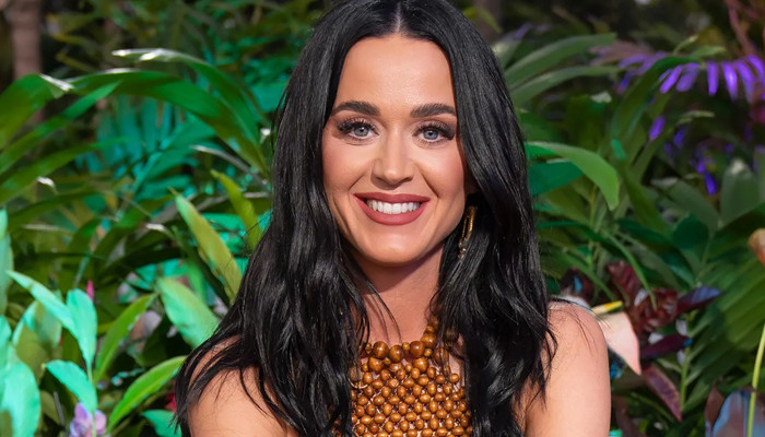 Katy Perry calls for immediate ceasefire in Rafah, Gaza