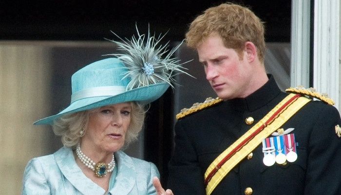Prince Harry harsh nickname for Queen Camilla revealed