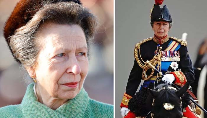 Princess Anne struggles ‘to recall’ anything amid head injury