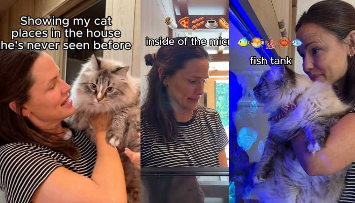 Jennifer Garner gives exciting home tour to her cat in new video: Watch