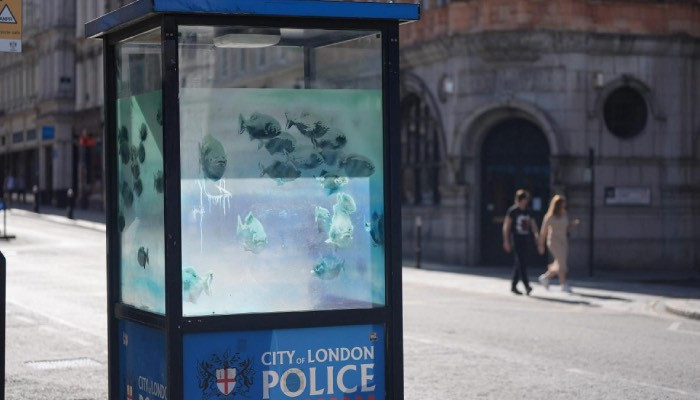 Banksy’s latest artwork turns London Police box into ‘stunning’ fish ...