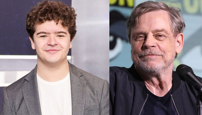 Gaten Matarazzo gushes over ‘LEGO Star Wars' costar Mark Hamill
