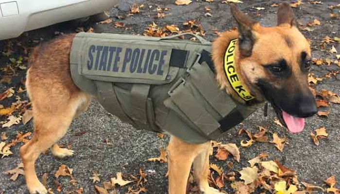 Indiana state police dog K-9 retires after eight years of service