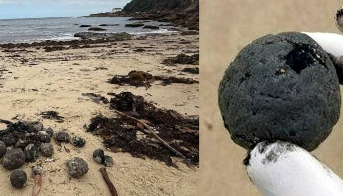 Mystery of sticky black blobs on Sydney beaches solved with shocking ...