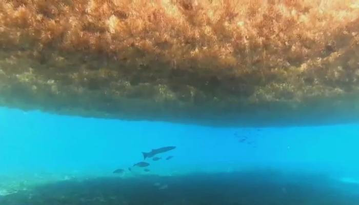 Uncover secrets of 'mysterious' sea that never touches land