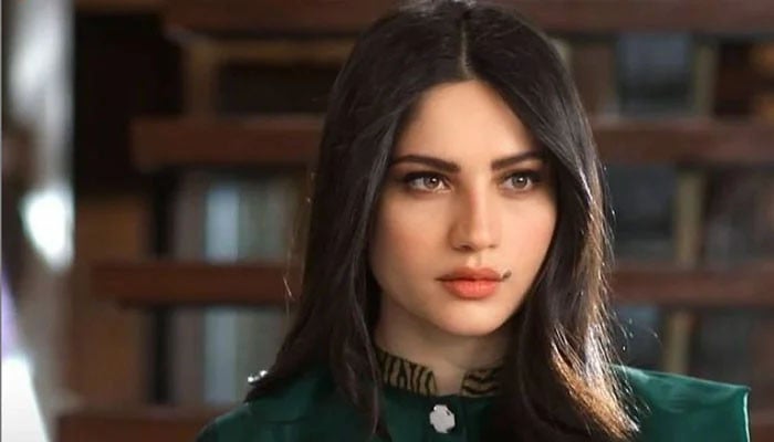 Inside Neelam Muneer Khan's exciting love story