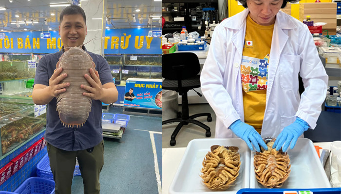 'Supergiant' sea bug 'Darth Vader' discovered in Vietnamese waters