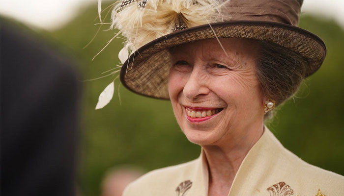 Princess Anne breaks silence on mysterious 2024 concussion