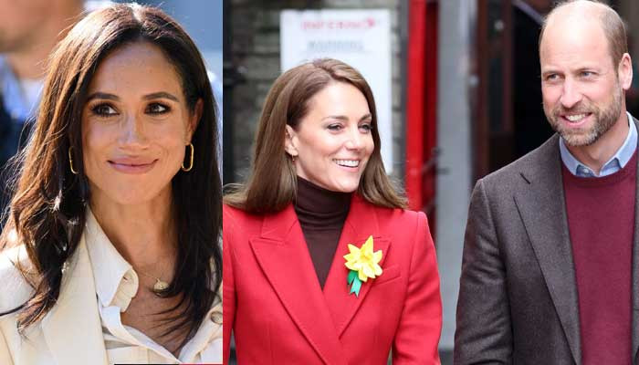 Meghan Markle shares delightful message after Kate, William's Wales visit