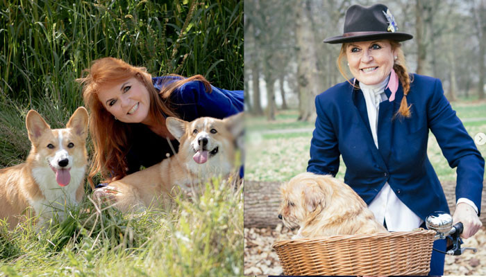 Sarah Ferguson celebrates Pet Day with sweet tribute to her seven furry ...