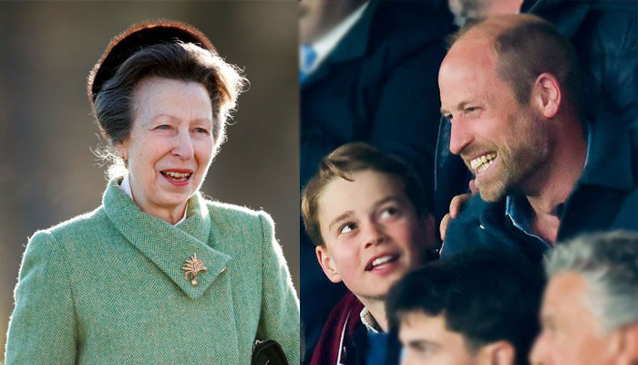 Princess Anne fulfils royal duty in Wales as Prince William enjoys ...