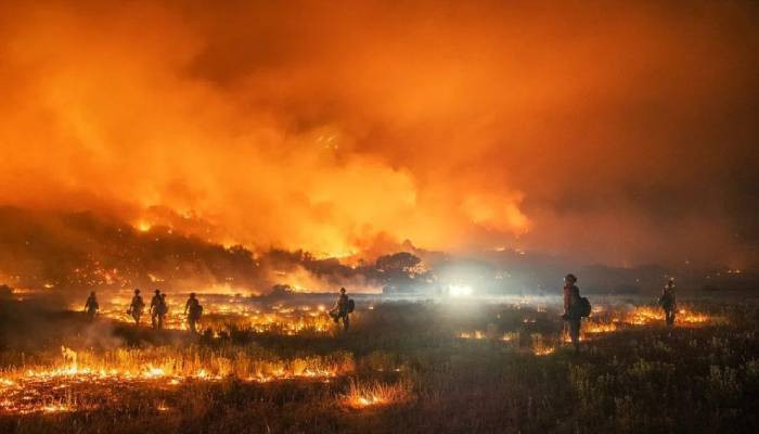 UK wildfires hit record high in 2025 with massive damage across country