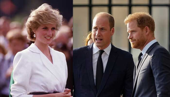 Prince Harry to honor Diana's legacy through shared charity with Prince ...