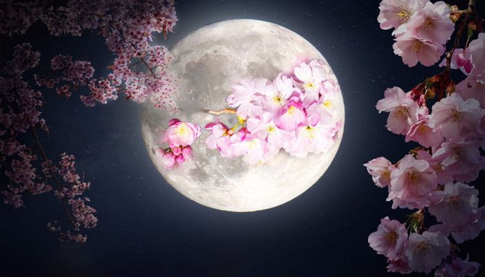 When is the full moon? May's Flower Moon to illuminate skies soon in ...