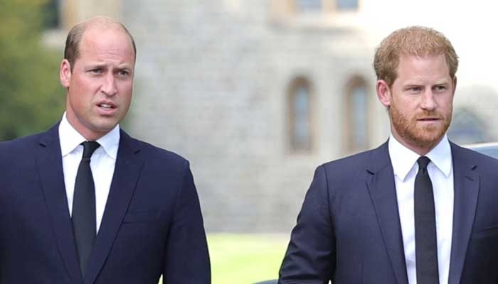 Kensington Palace shares Prince William’s statement after Harry’s kind move