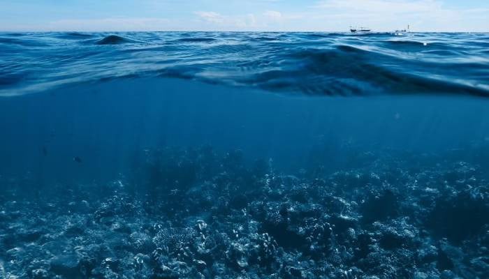 140,000-year-old lost city found underwater with ancient human skull