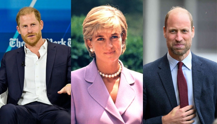 Did Prince William, Harry privately compete for Princess Diana's ...
