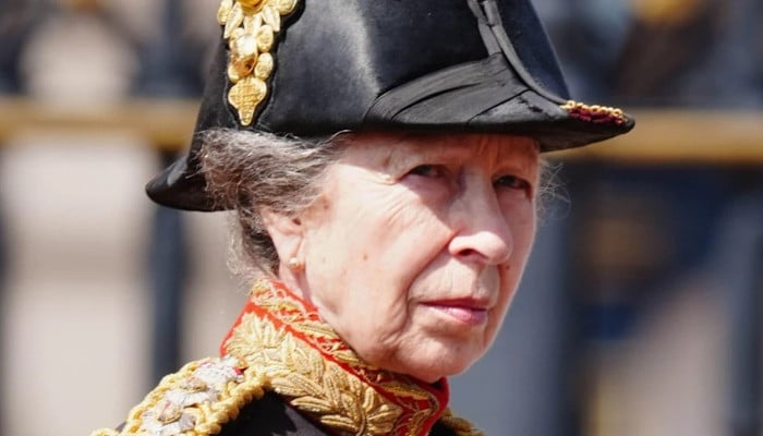 Princess Anne makes graceful return to horse riding at Trooping The ...
