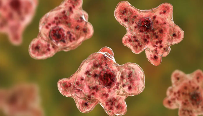 Patient tragically dies from brain-eating amoeba in South Carolina