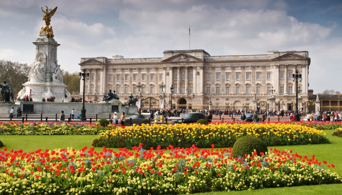 Buckingham Palace issues delightful update amid Charles, Harry’s peace talks
