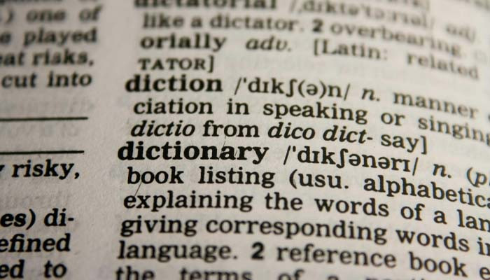 Gen Z, Gen Alpha slang 'skibidi', 'delulu' added to Cambridge Dictionary