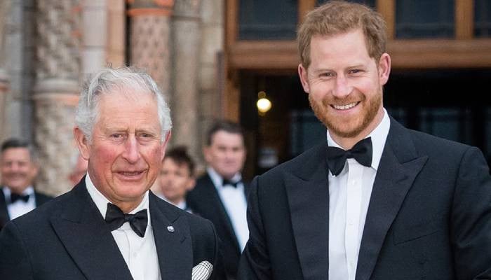 Prince Harry reveals future plans in first statement after seeing King ...
