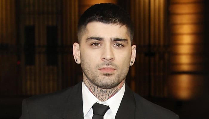 Zayn Malik enters gaming world with unexpected ‘Borderlands 4 ...