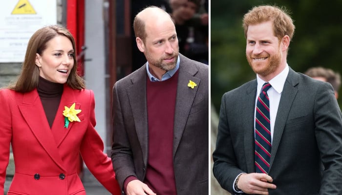 Kate Middleton, Prince William to visit US amid Prince Harry olive branches?