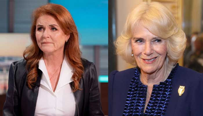 ‘Angry’ Sarah Ferguson plots ‘revenge’ after Queen Camilla's brutal snub