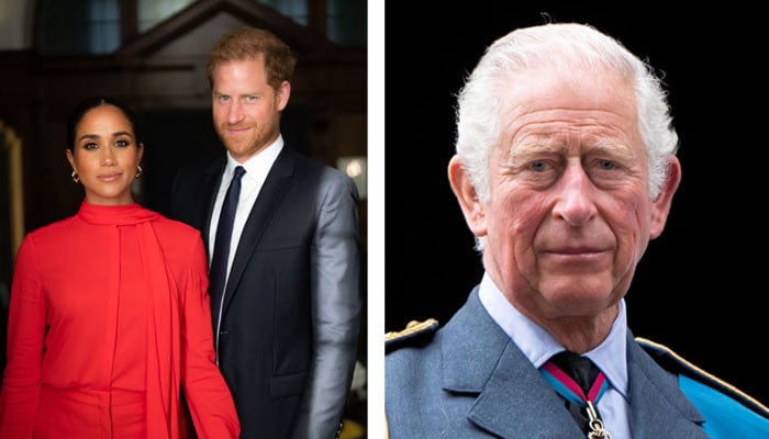 Prince Harry, Meghan Markle share exciting news after King Charles' fresh snub