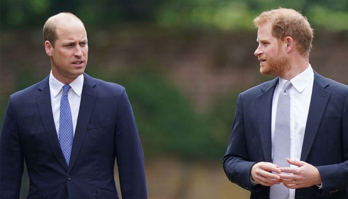 Prince William determinant to cause financial troubles for Prince Harry