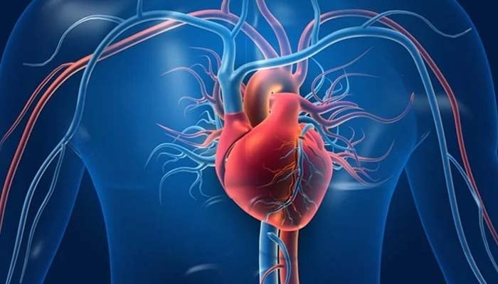 Severe valvular heart disease raises death risk in cancer patients