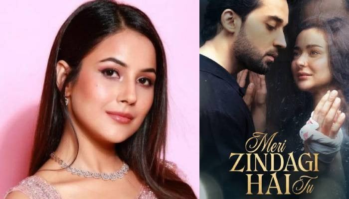 Shehnaz Gill shares 'extreme' obsession with hit drama ‘Meri Zindagi ...