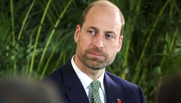 Prince William makes bold PR move to tackle ‘testing situations on the ...