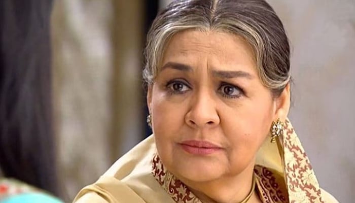 Farida Jalal weighs in on 8-hour shift debate, shares early career ...
