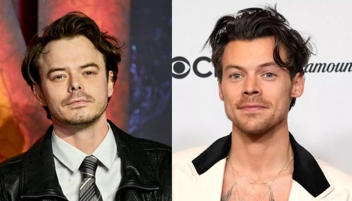 'Stranger Things' star Charlie Heaton on Harry Styles resemblance: 'I ...