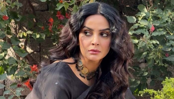 Saba Qamar reveals makeup artist’s paranormal encounter on 'Muamma' shoot