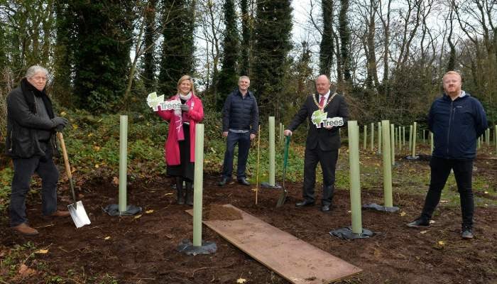 Belfast hits major milestone in 1M trees initiative, launches new Orchards