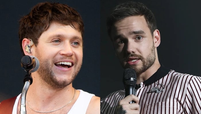 Niall Horan recalls final meeting with Liam Payne before singer's ...