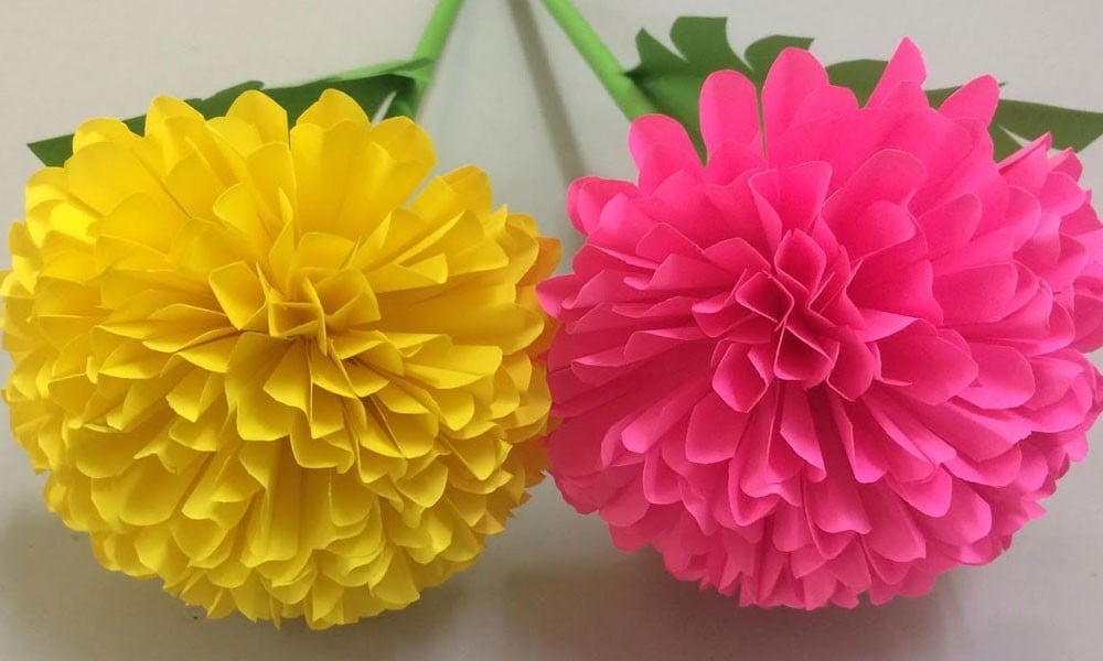 کاغذی پھول‘‘