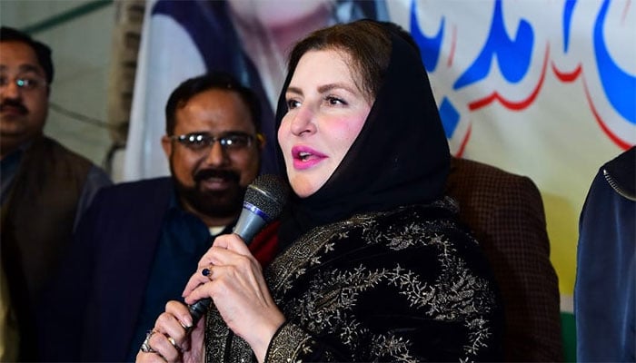 ٹکٹ نہ دیے جانے پر سمیرا ملک نے پارٹی اور عہدے سے استعفیٰ دے دیا