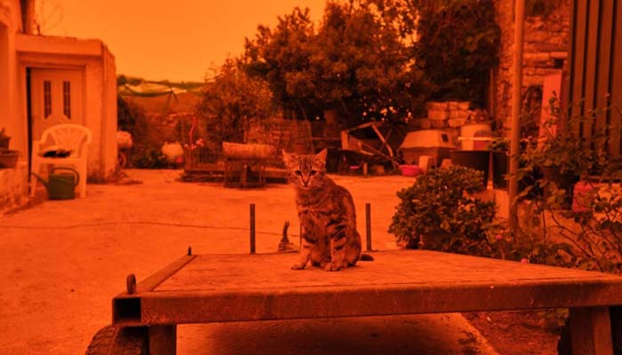 Athens turns into a ‘colony of Mars’ from Sahara dust storm